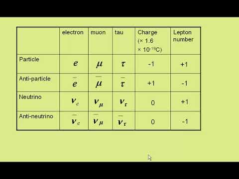 quarks and leptons - YouTube