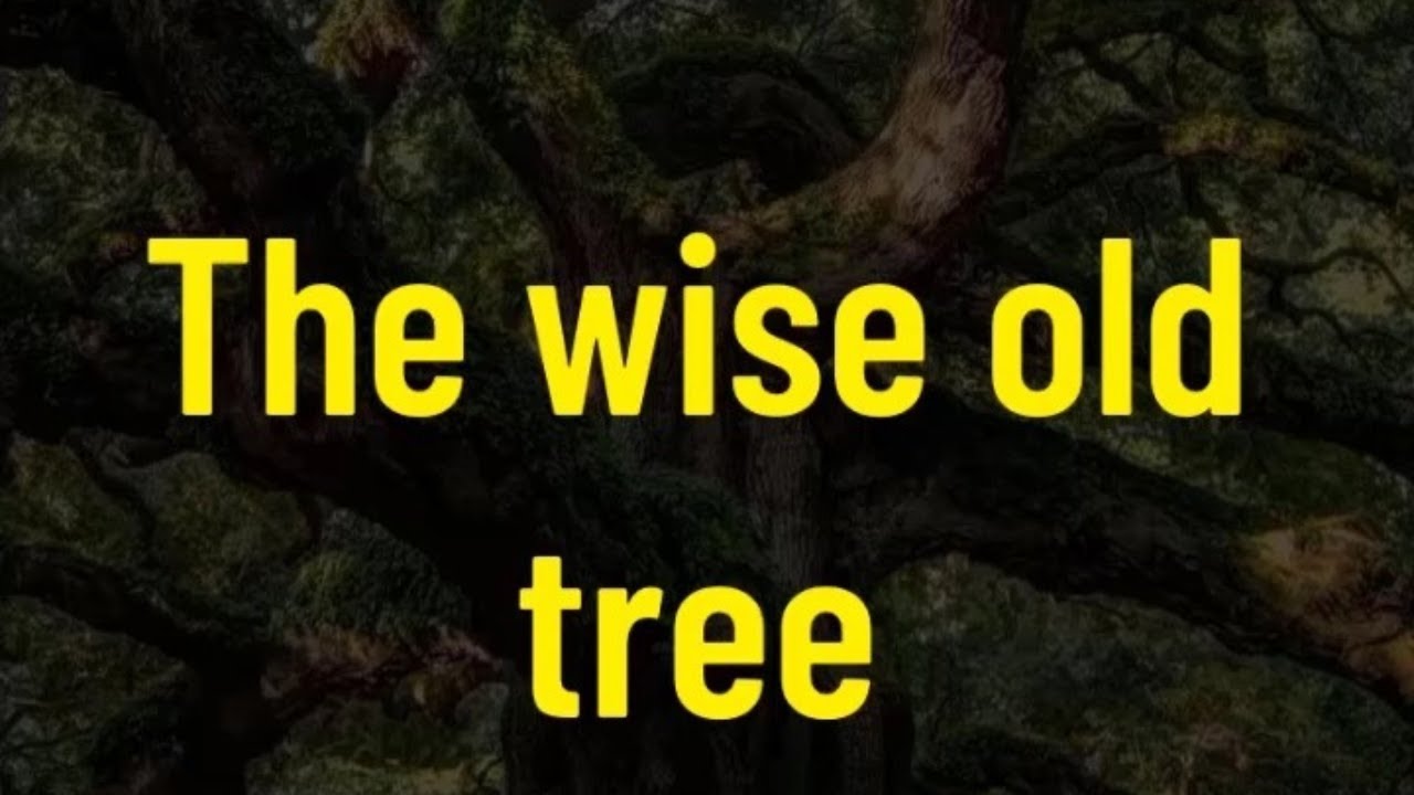 The Wise Old Tree - YouTube