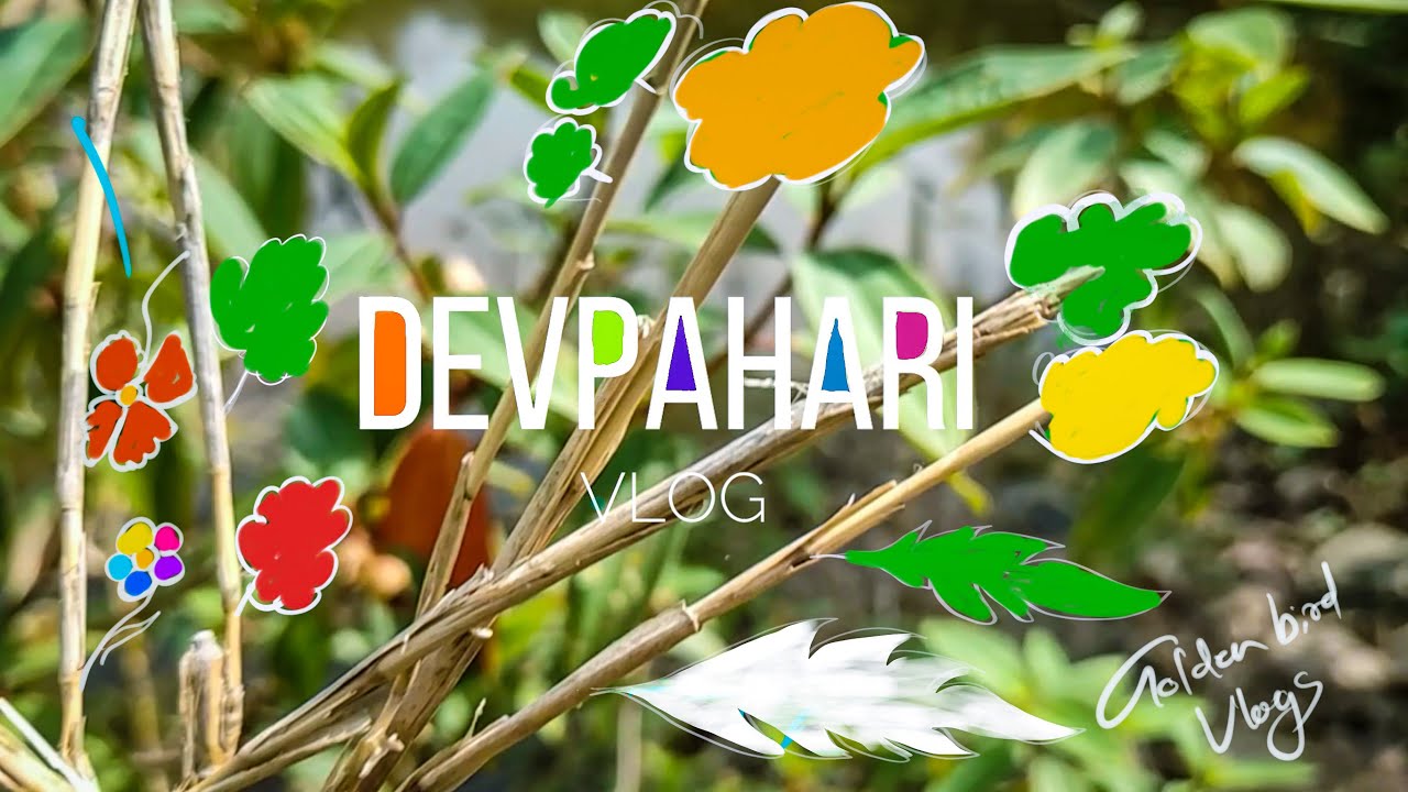 Devpahari Waterfall | Aaretra Lemru Korba Chhattisgarh | Korba picnic ...