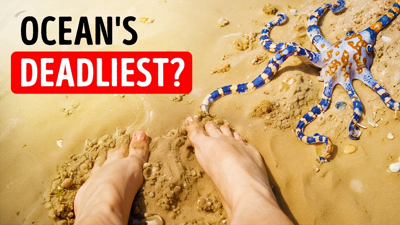 How to Survive: Hidden Dangers You Need to Know About - YouTube