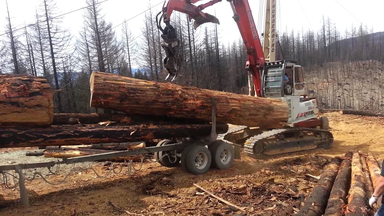 Big log - YouTube