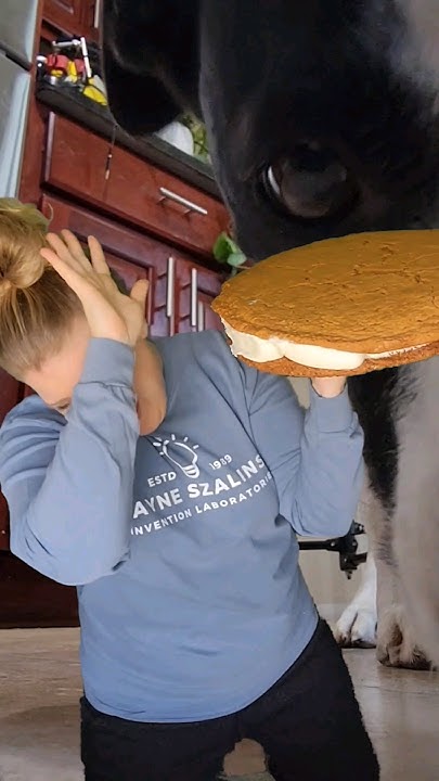 I used a shrink ray to bake oatmeal creme pies from Honey, I Shrunk the ...