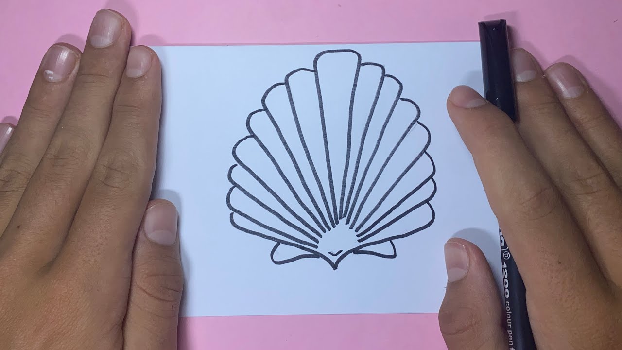COMO DIBUJAR una CONCHA DE MAR FÁCIL y paso a paso - YouTube