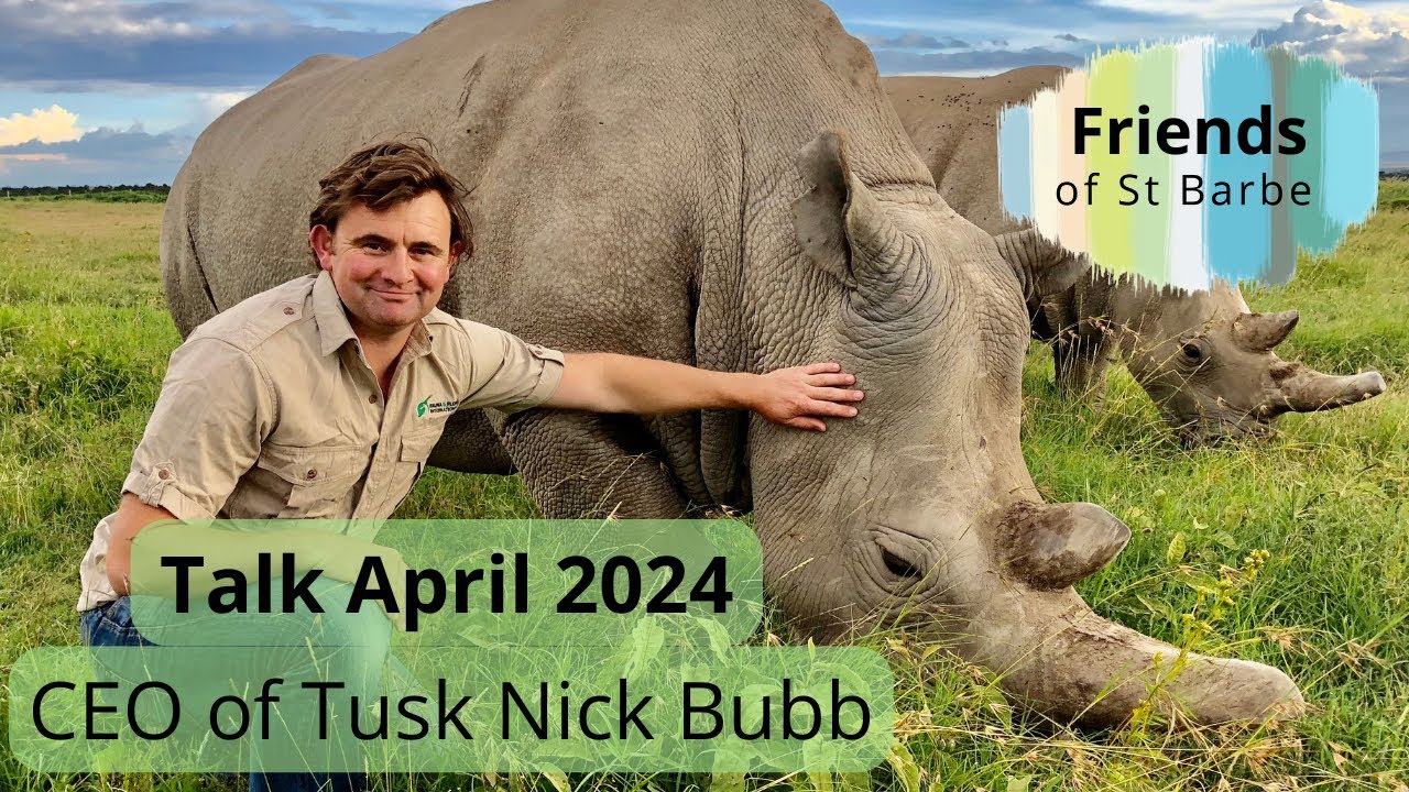 Friends Talk: CEO of Tusk Nick Bubb - YouTube