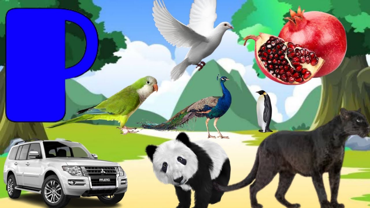 Starfall- Alphabet- letter P | Listening, reading, phonics| The Letter ...