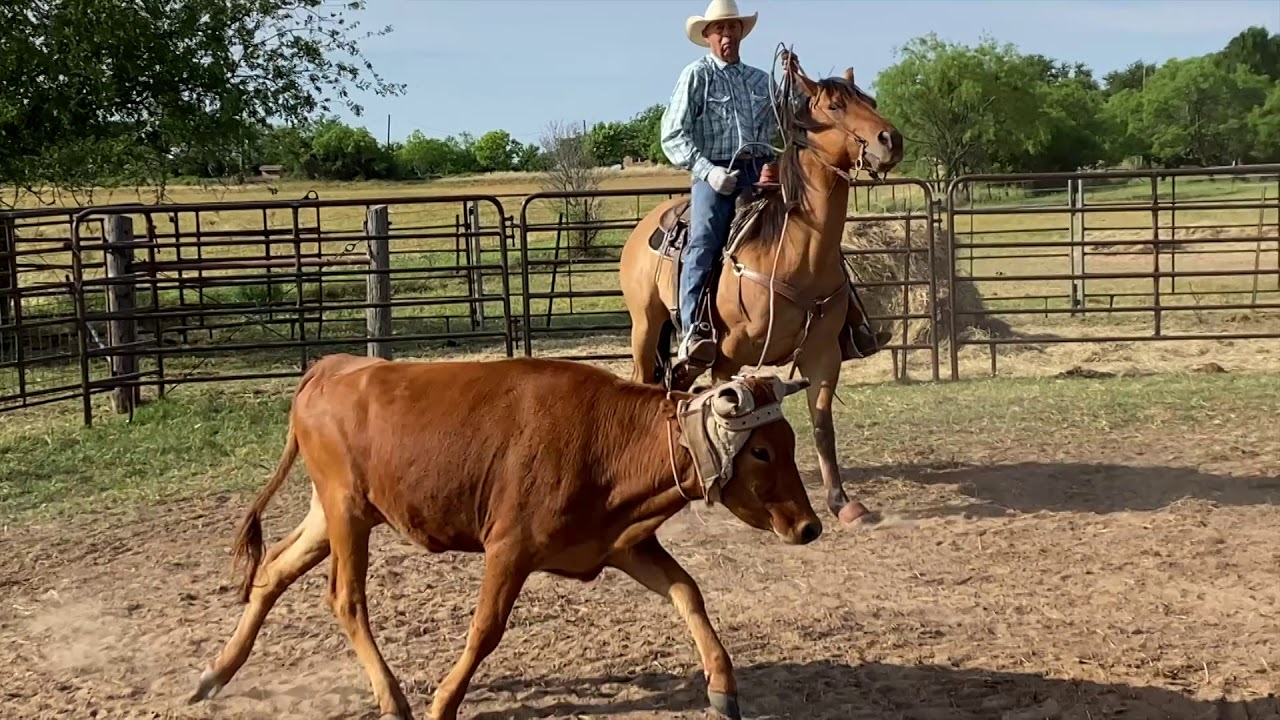 Ranch Roping - YouTube