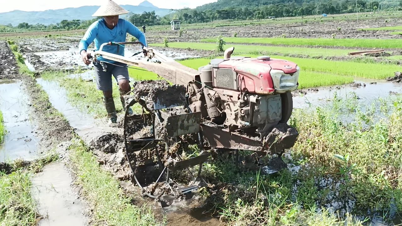 JOKO TRAKTOR SAWAH MEMBAJAK METODE KALEM, SANTAI POL PART 2 - YouTube