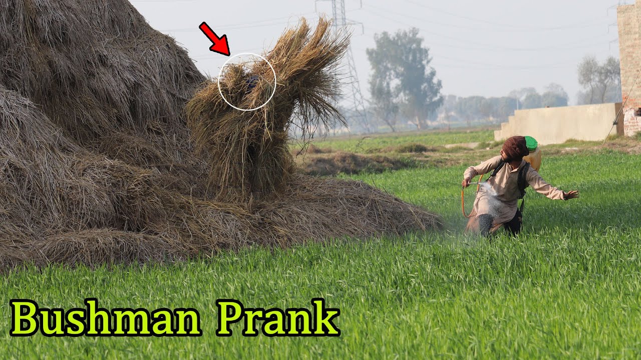Funny Reaction BUSHMAN PRANK In Village !! 😀😀Try Not To Laugh Bush Man ...
