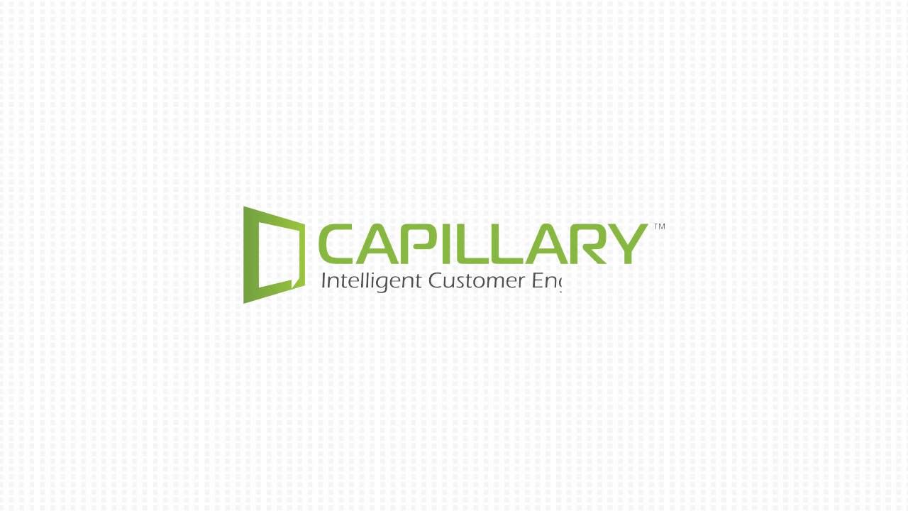 Capillary : CRM Solutions Overview - YouTube