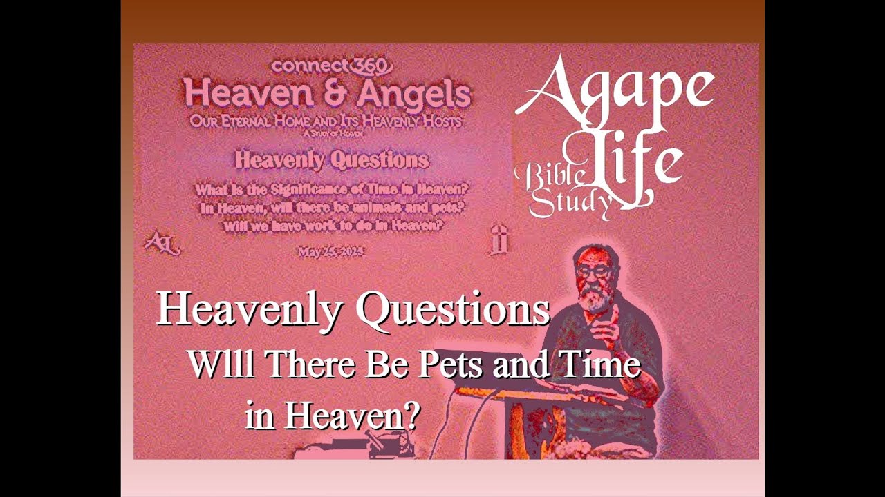 Heavenly Questions Will There Be Pets and Time in Heaven? - YouTube