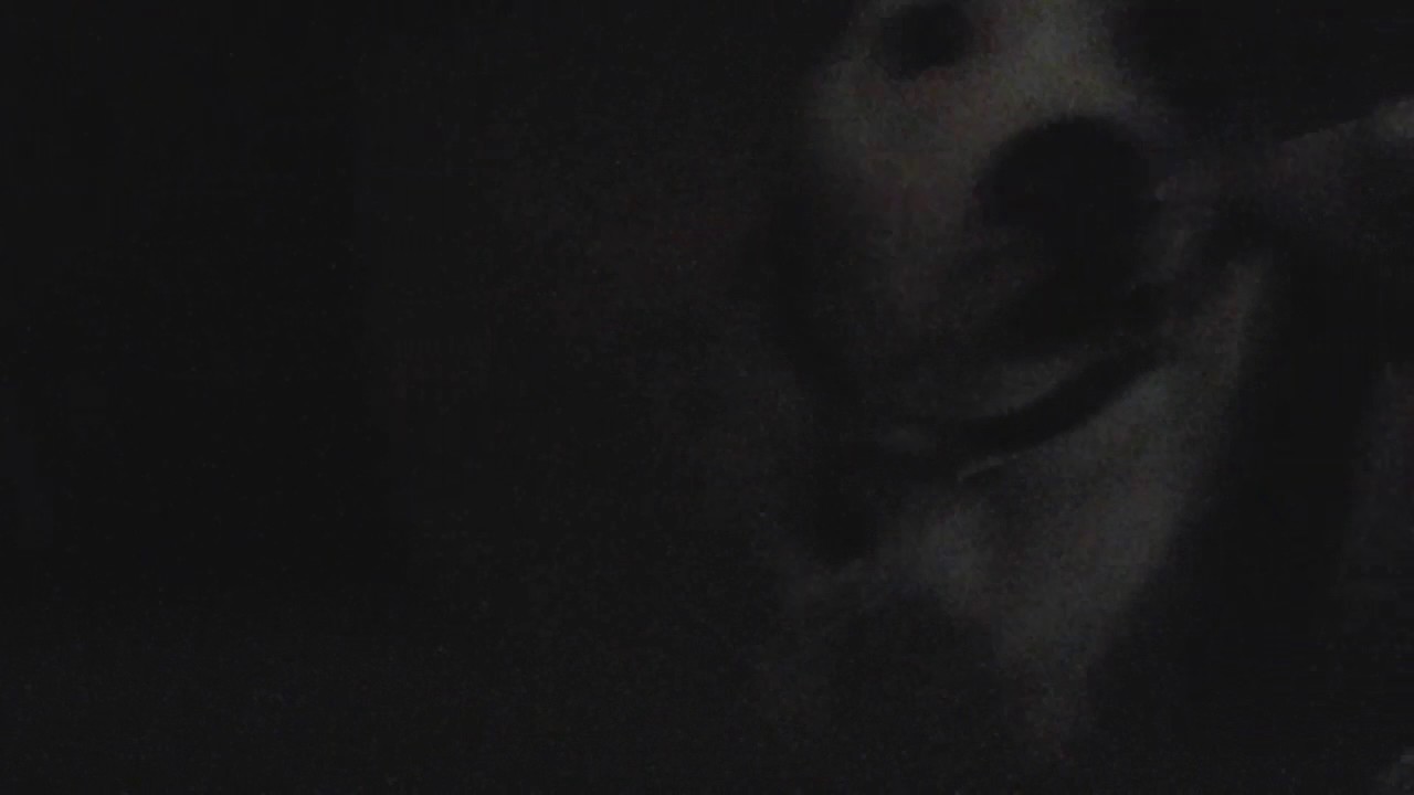 Happy 9th birthday to my dog, Chantz - YouTube