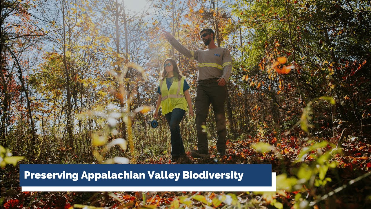 Preserving Appalachian Valley Biodiversity - YouTube
