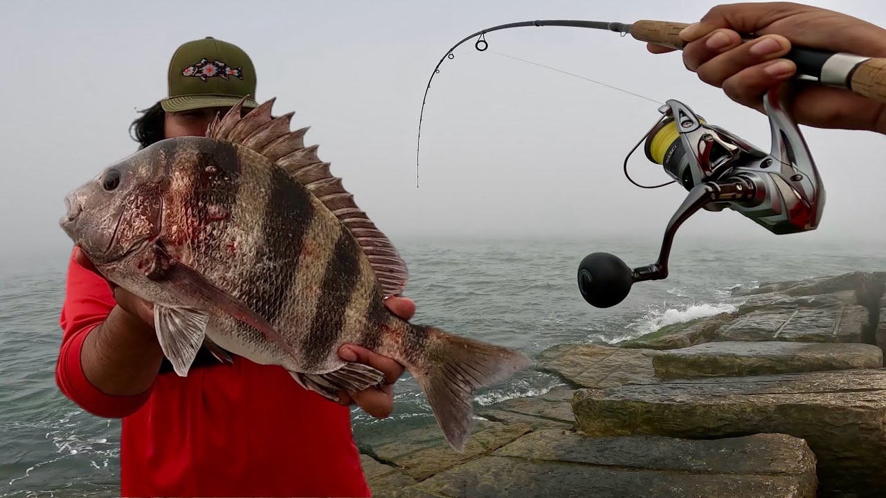 Jetty Fishing for Sheep head - YouTube