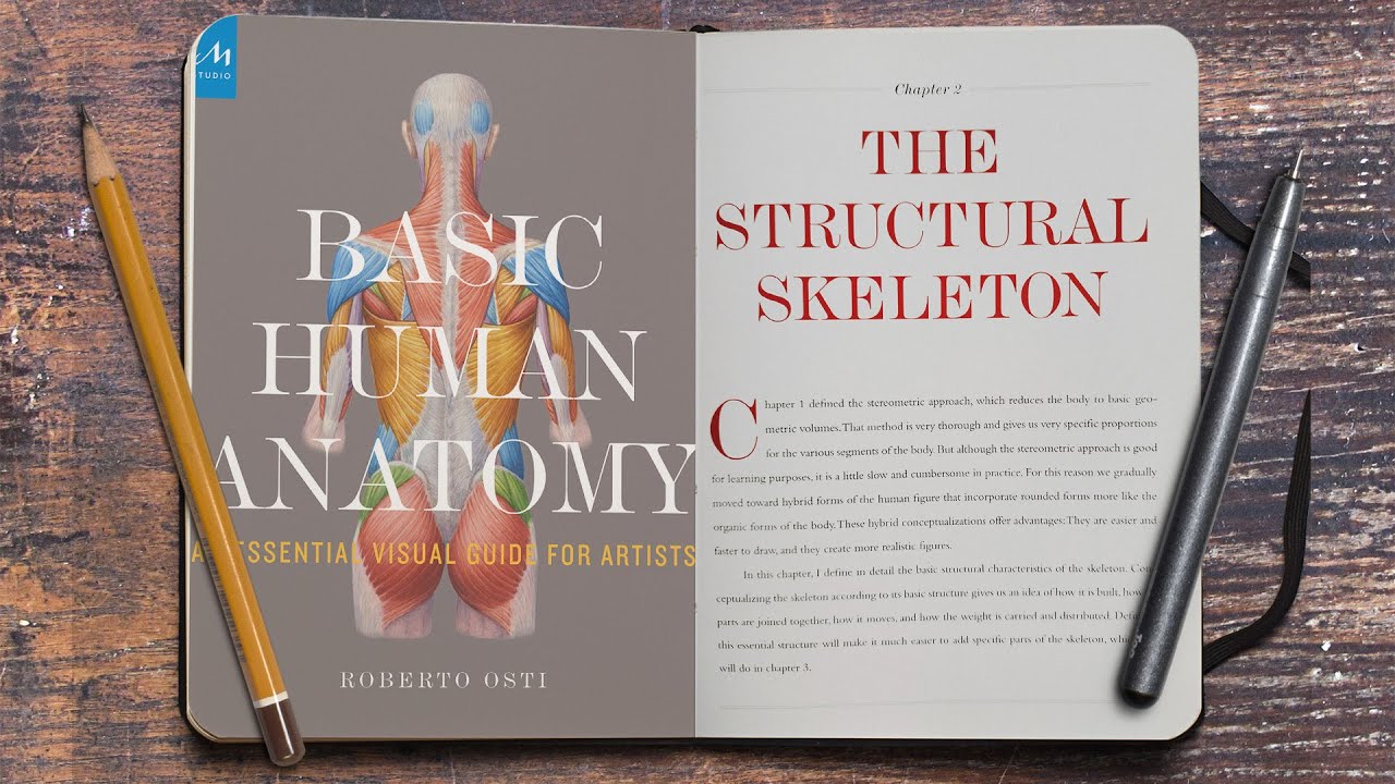 Basic Human Anatomy (BHA): Introduction to Chapter 2 - The structural ...