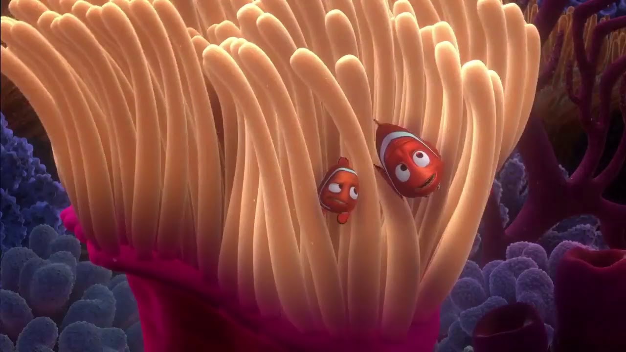 Finding Nemo - Marlin - Survey Question - YouTube