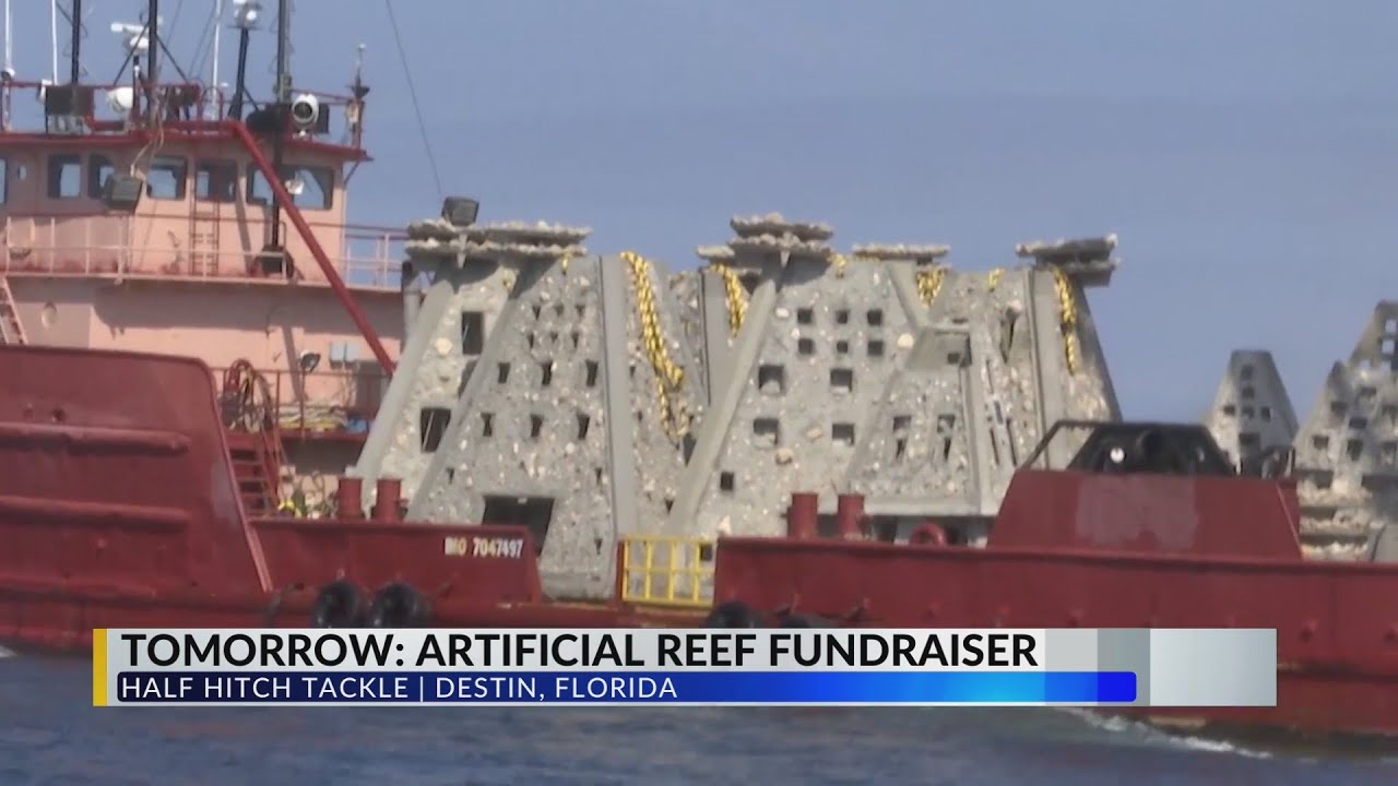 Students look to raise $10k to build 10 artificial reefs in Gulf of ...