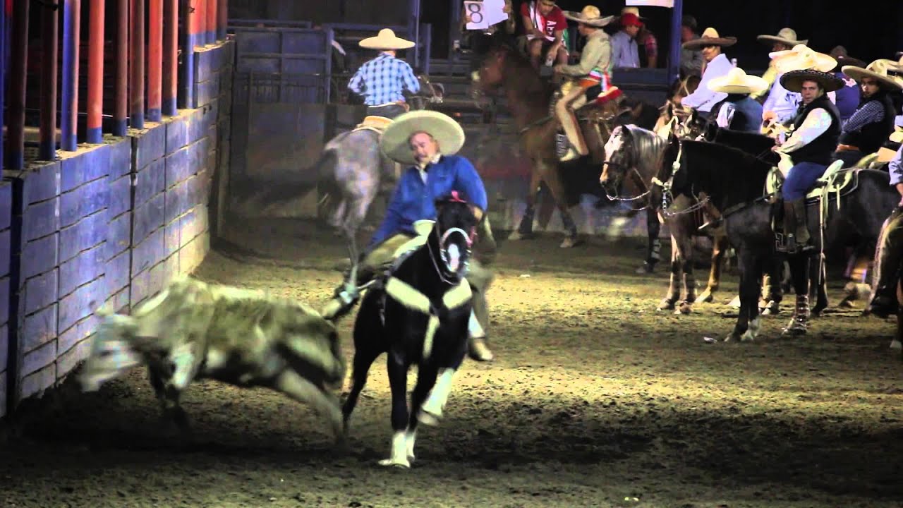 Coleadero Baile Bajo Las Estrellas 1-29-16 - YouTube