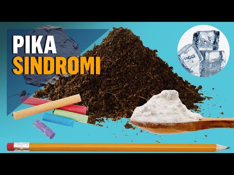 Yeb bo‘lmaydigan narsalarni yegisi keladigan odamlar