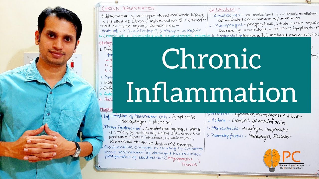 Inflammation (Part 4): Pathophysiology of Chronic Inflammation - YouTube