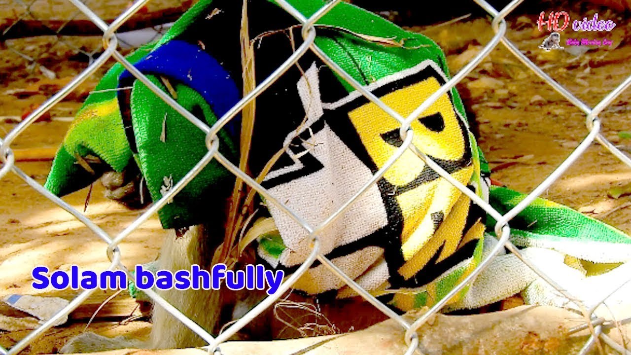 Visit Solam first time ! I cannot stop laugh with Solam | Solam feel ...