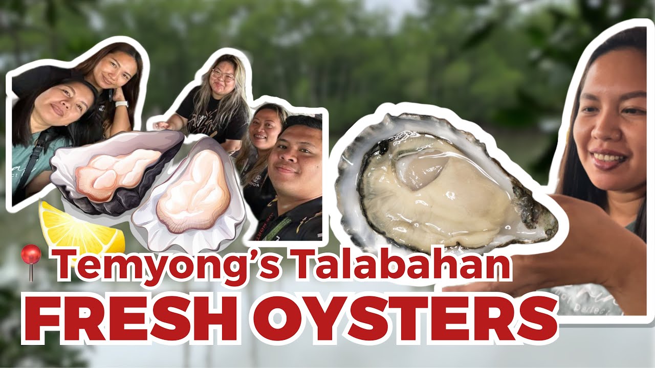 Fresh Oysters in Cebu | Best Filipino Food | En-En Miaga - YouTube