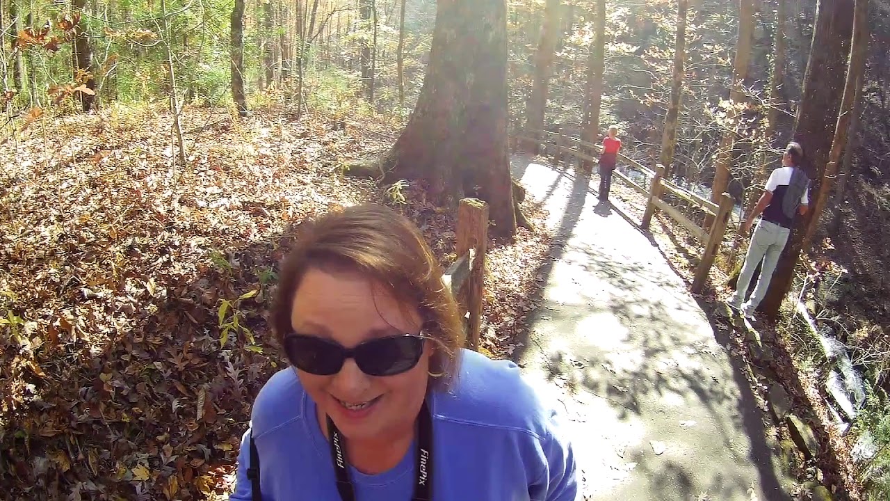 Anna Ruby Falls half mile hike - YouTube