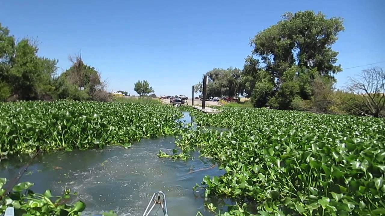 Hogback Island Launch Ramp - YouTube