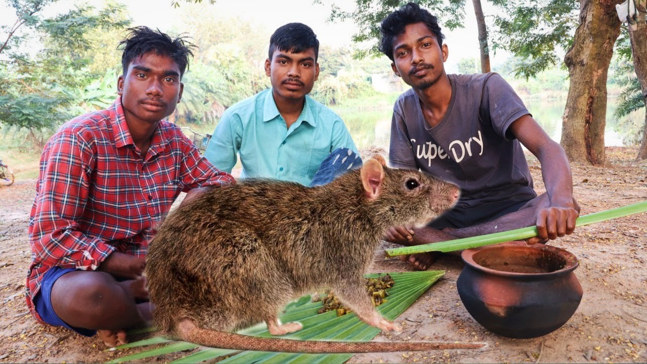 Rat Meat Recipe || Mouse Recipe || Santali style Cooking .. - YouTube