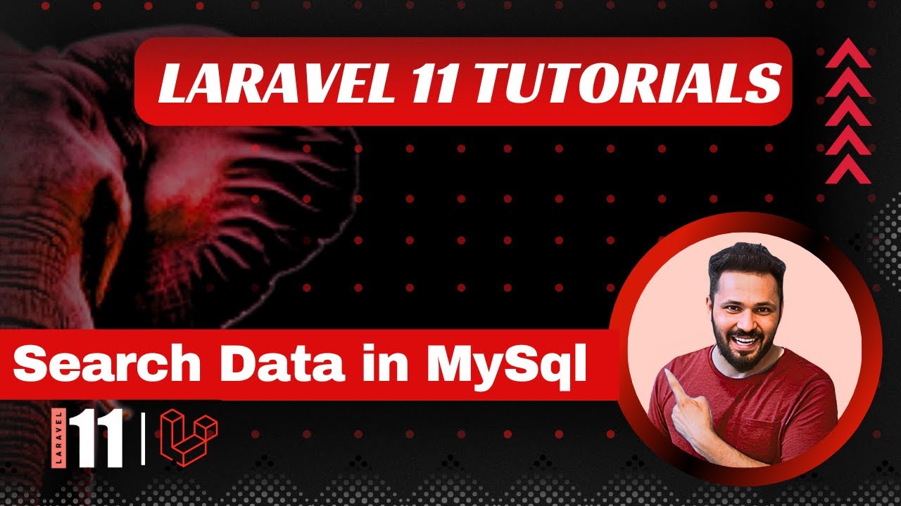 Laravel 11 tutorial #46 Search data from MySql Database Table - YouTube