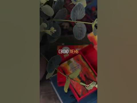 Трансформационная игра «САМОСАБОТАЖ #reels - YouTube