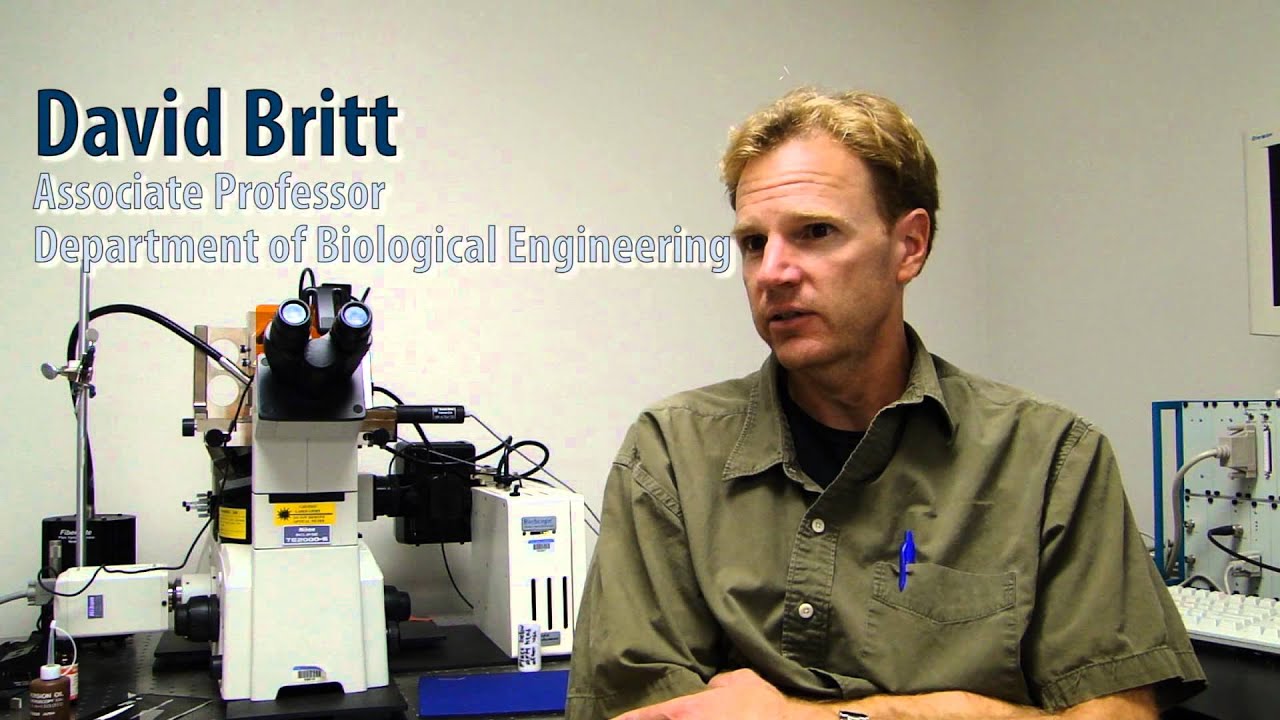 David Britt Video - YouTube