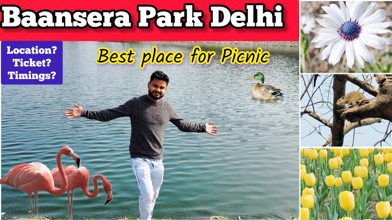 Bansera park delhi - Baansera park delhi, Bansera bamboo Park, places ...