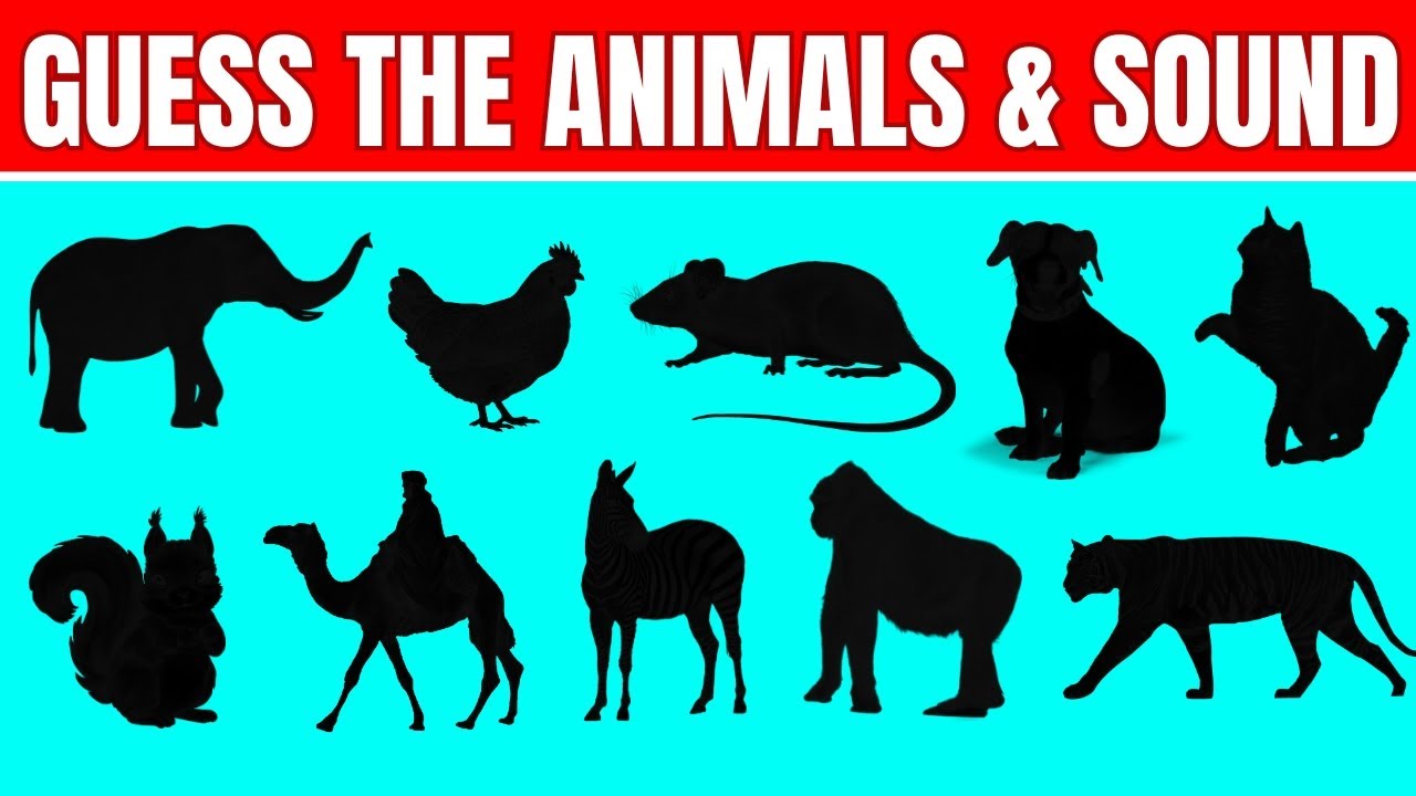 Animals Name and Sound | Animals for kids | Animal by Shadow | Learn ...
