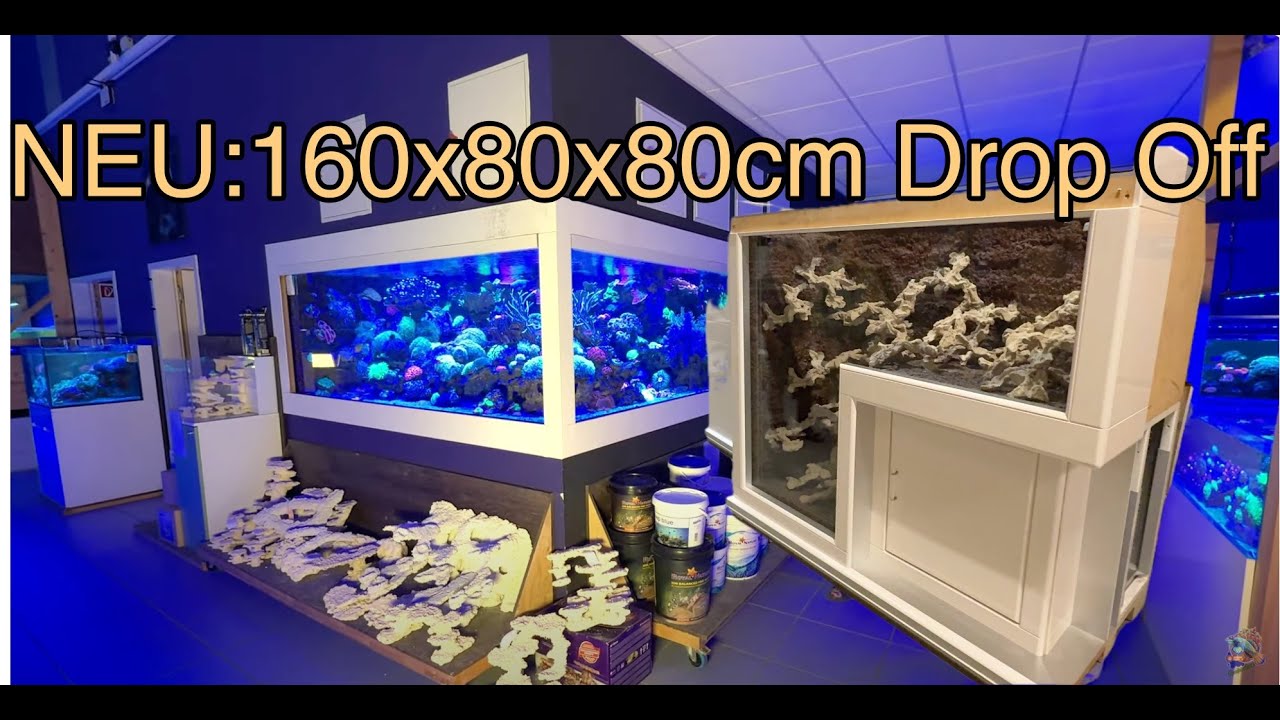 Der Jonny Talk! 2000l DropOff kommt| Der Korallenwächter| 350cm Becken ...