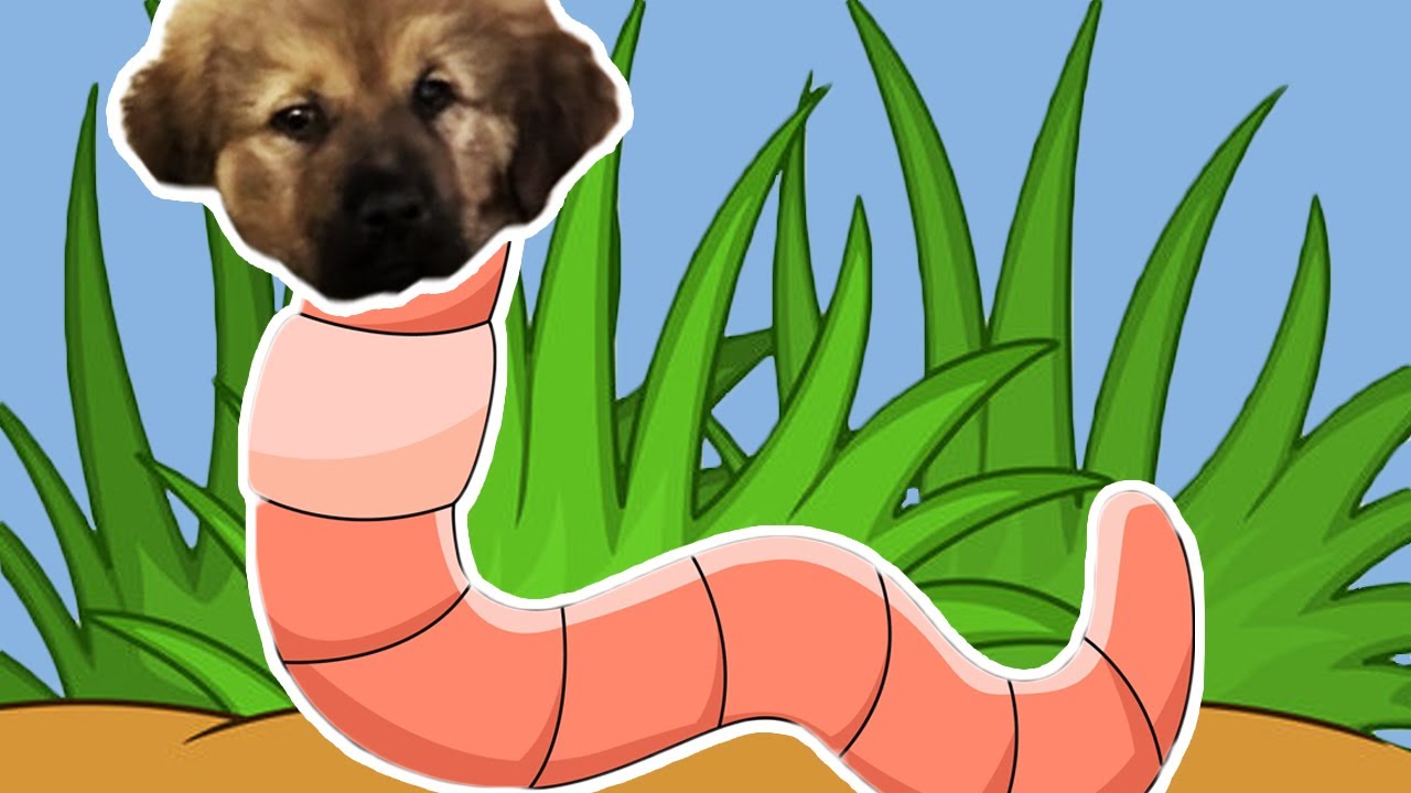 Kaya Is Friends with the Worms | Hasanabi Morning Recap 5/20 - YouTube