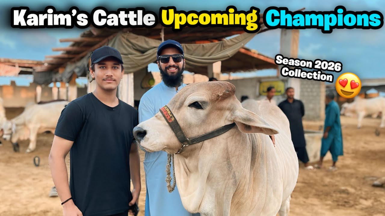 Karim’s Cattle Farm Latest Cattle Collection 2026💥 | Hidden Gems 😍 ...