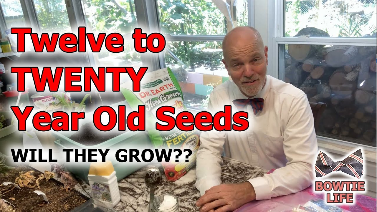 FALL SEED STARTING Very Old Seeds 12 to 20 Years Old! How Well Will Old ...