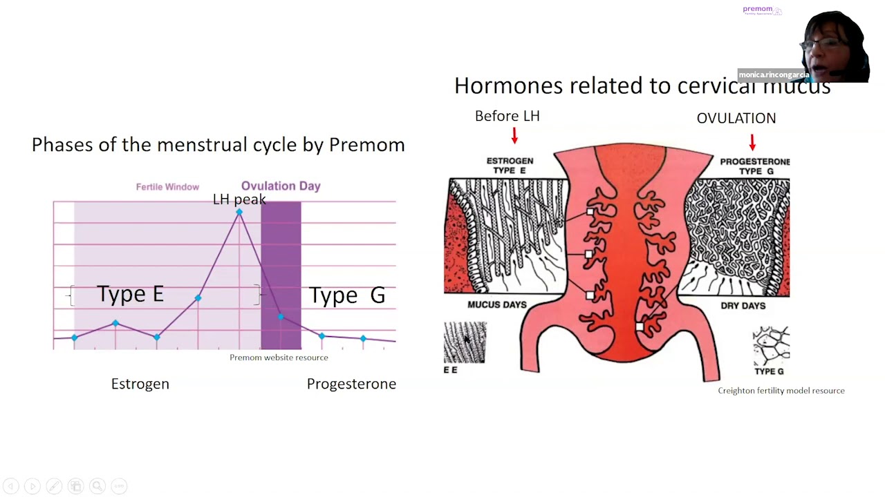 How to Track Cervical Mucus with Monica Rincon, Marquette Method ...