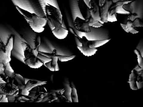 Tim Booth And The Bad Angels - Dance Of The Bad Angels (Lyrics) - YouTube