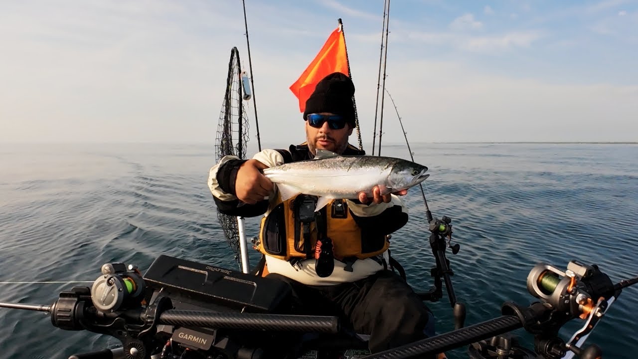 Incredible Coho Salmon Fishing on Lake Michigan [Doubled Up!] - YouTube
