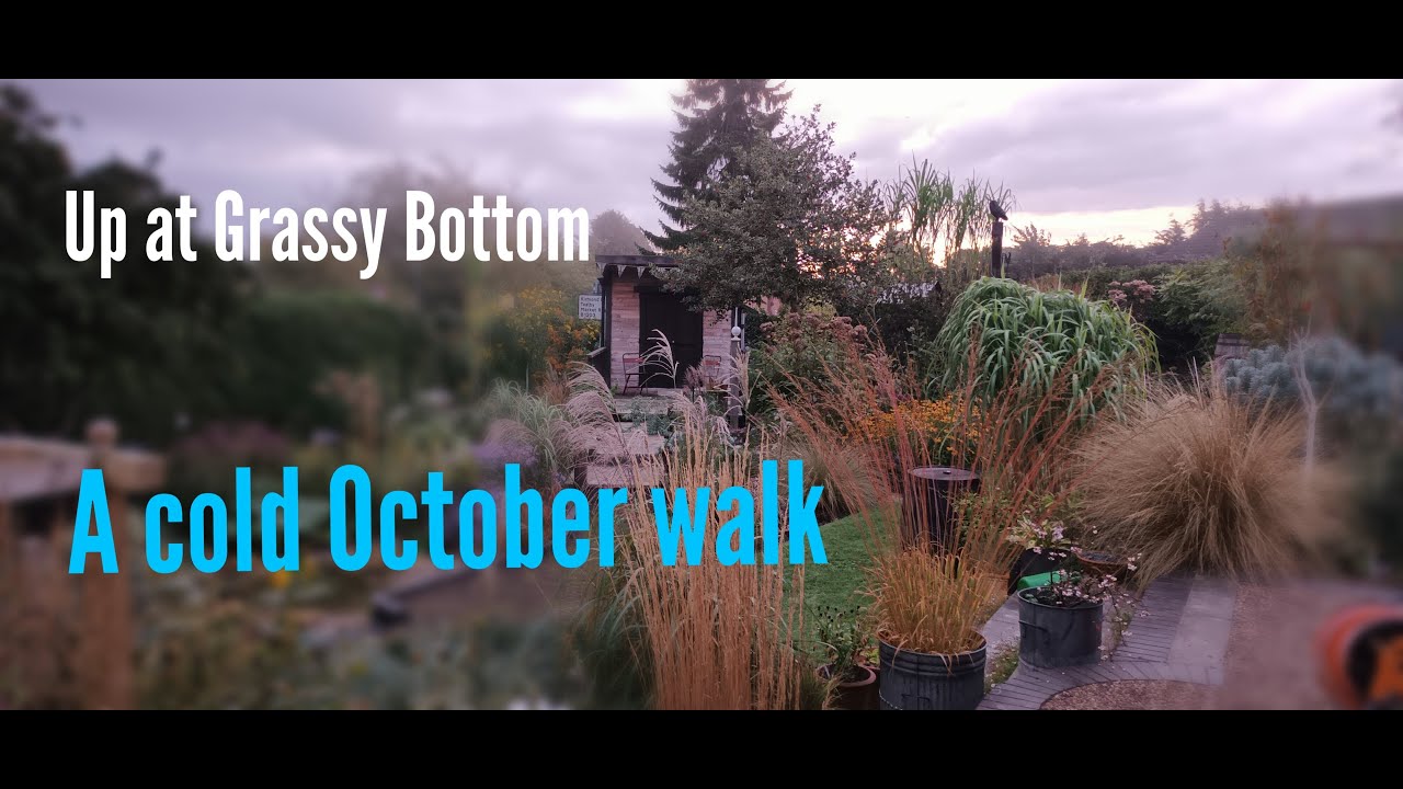 A cold October walk in the garden, an early morning walk in the garden ...