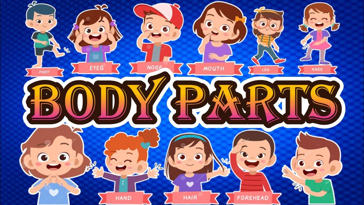 Fun and Educational Kids Video - Learn Body Parts Names with Playful ...