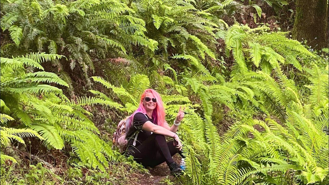 Hiking the Matt Davis, Steep Ravine, Dip Sea loop, Stinson Beach ...