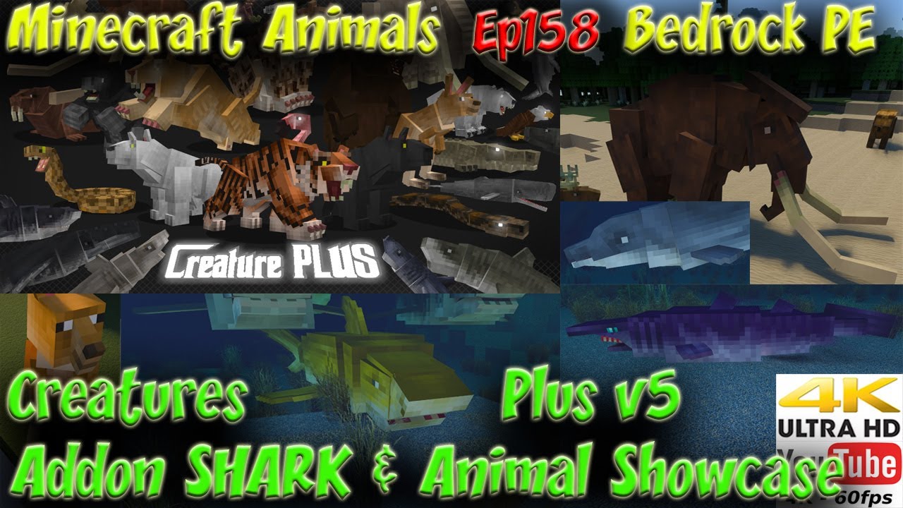 Creatures Plus v5 Addon Showcase Sharks Animals Minecraft Bedrock PE ...