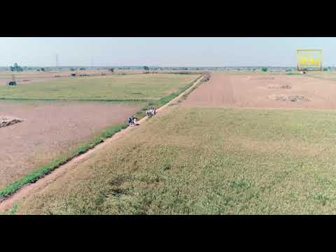 New  Hareyane Song 2019