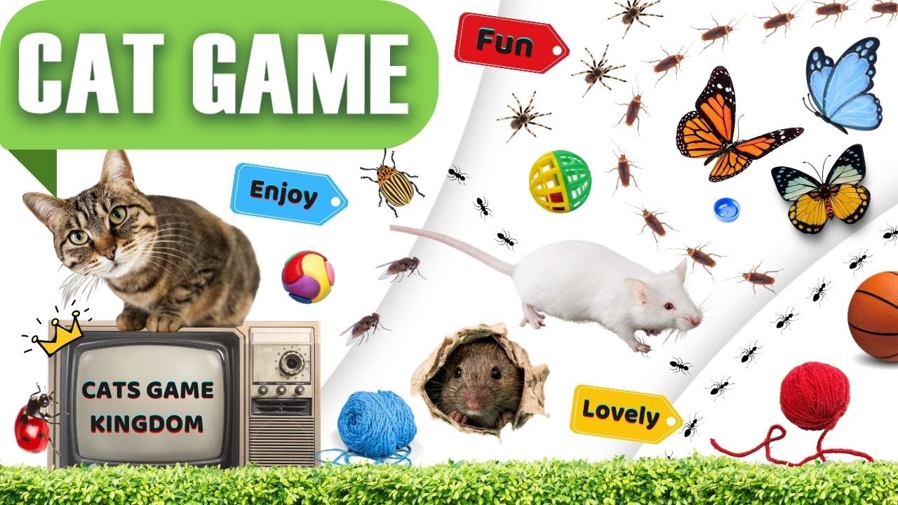CATS GAME - The ULTIMATE Games Compilation For Cats To Play - 3 HOURS ...