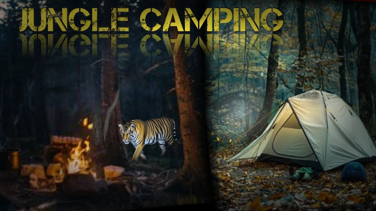 Jungle camping | Jungle survive camp | Camping video | Deo Camping ...