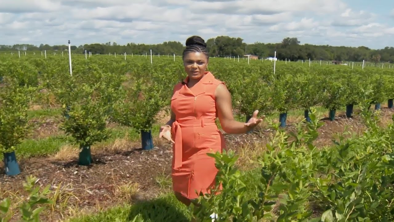 Meteorologist/Weather Anchor Derrah Getter Resume Reel January 2024 ...