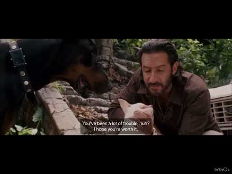 Beverly Hills chihuahua (2008) Papi save Chloe