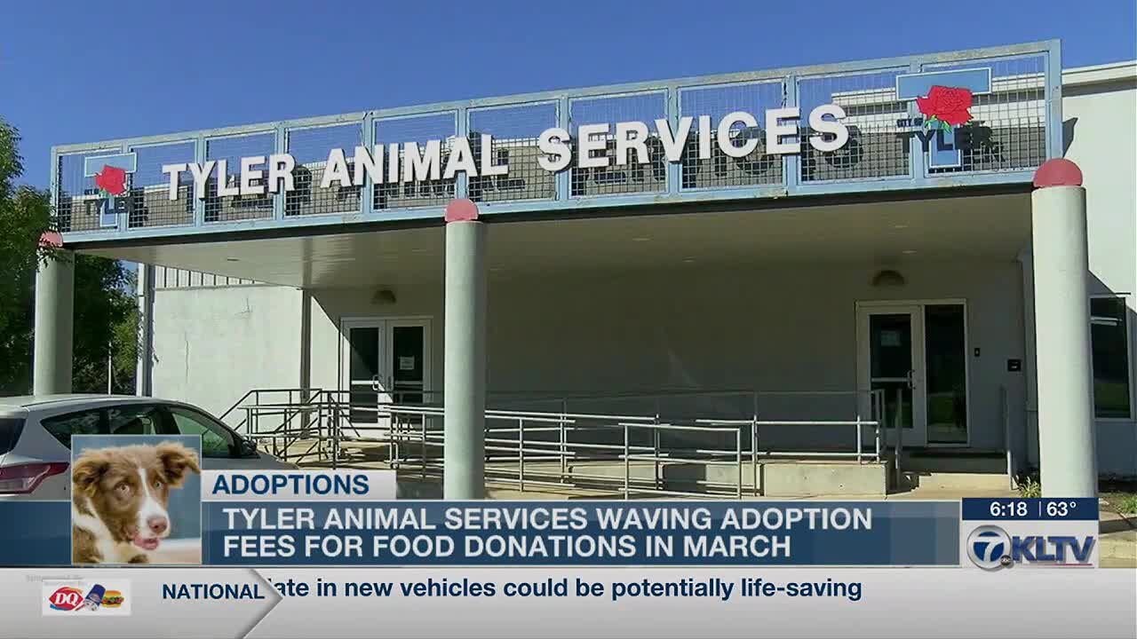 Tyler Animal Services offers free adoptions in March with donations ...